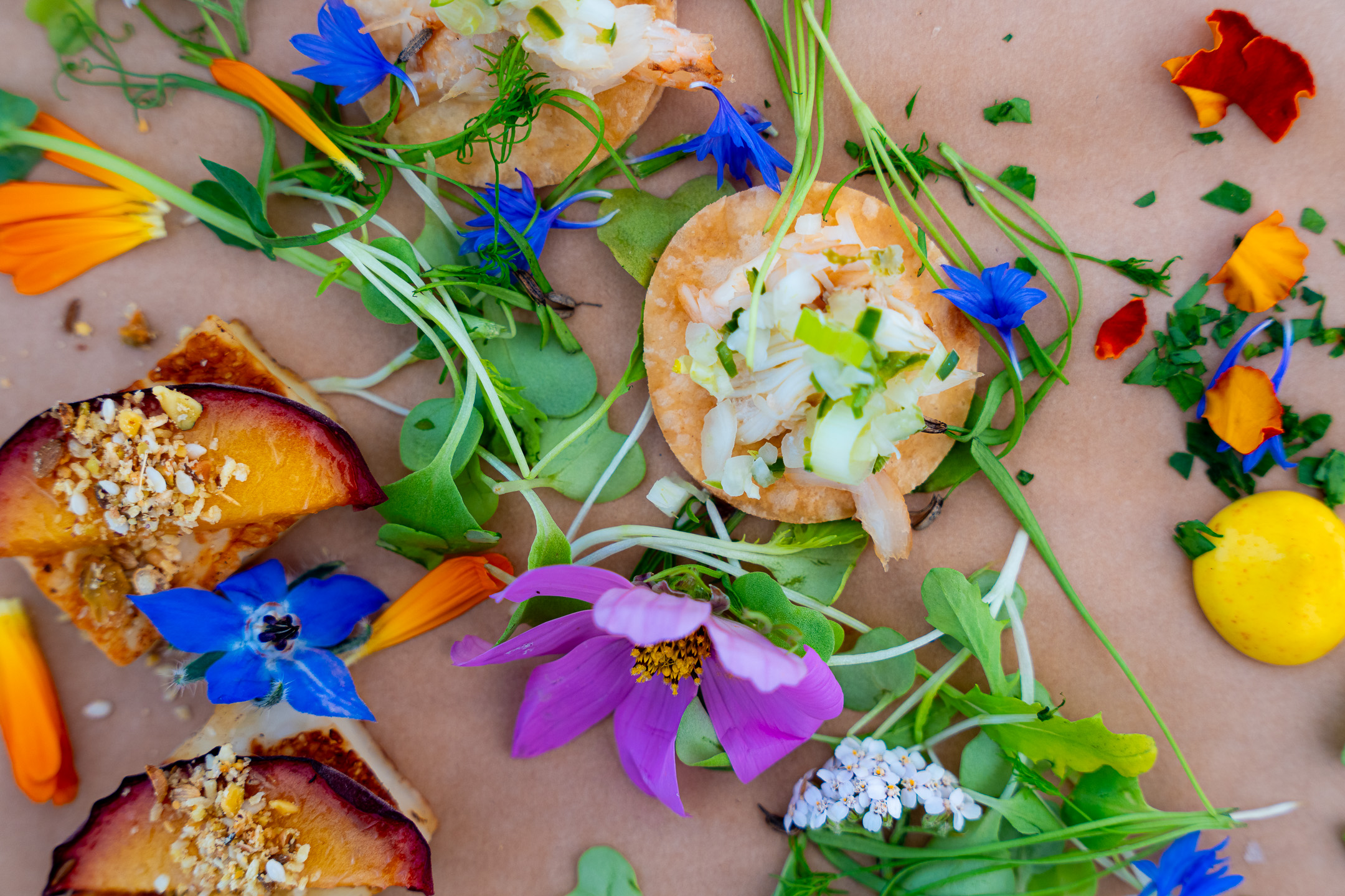 Canapes • AVO Catering co